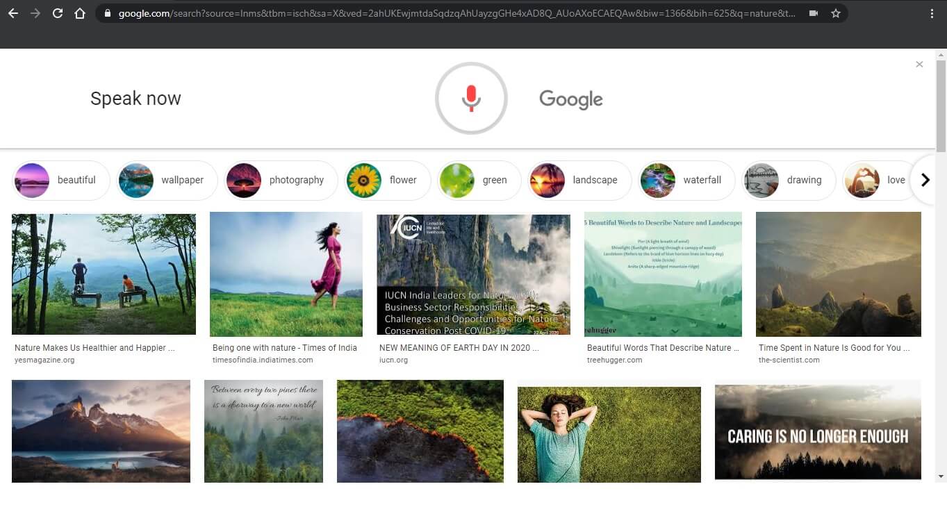 How to Use Reverse Lookup on Google Image Search