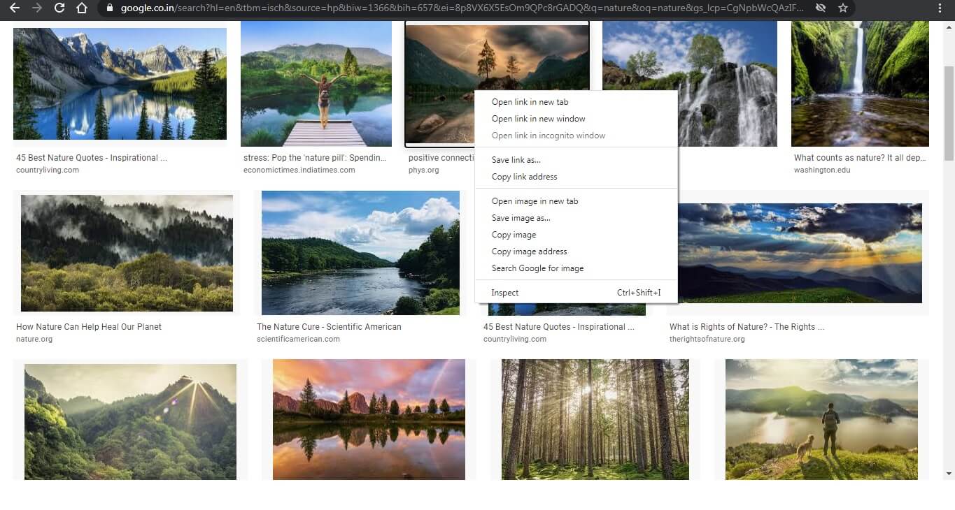 How to Use Reverse Lookup on Google Image Search