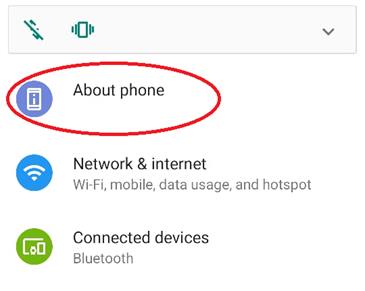 How to Enable Developer Mode On Android