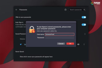 How to Save and Manage Passwords on Opera Browser?