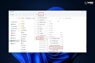 How to Show File Extensions in Windows 11