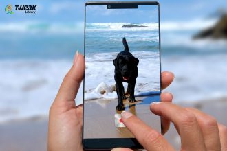10 Best Apps To Identify Anything Using Your Phone's Camera